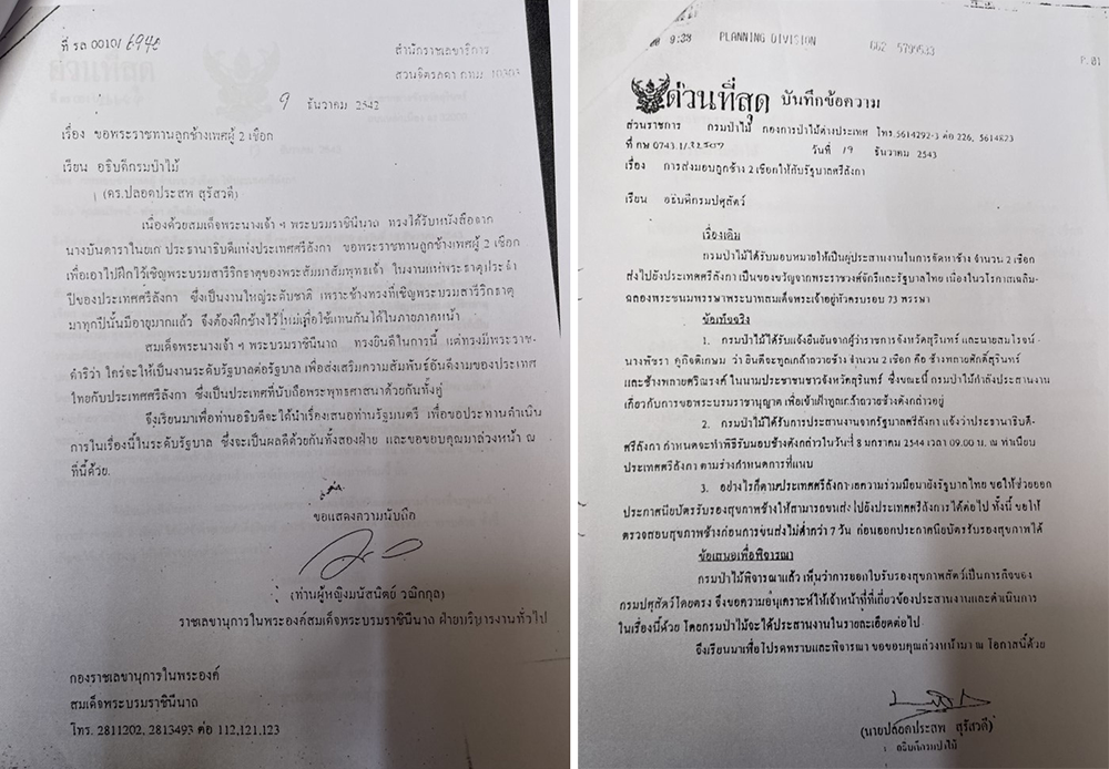 เปิดใจเจ้าของพลายศักดิ์สุรินทร์และพลายศรีณรงค์ Koratdaily Online หนังสือพิมพ์โคราชคนอีสาน
